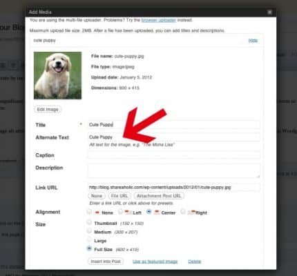 alt attribute example | The Content Marketing Blog – Shareaholic